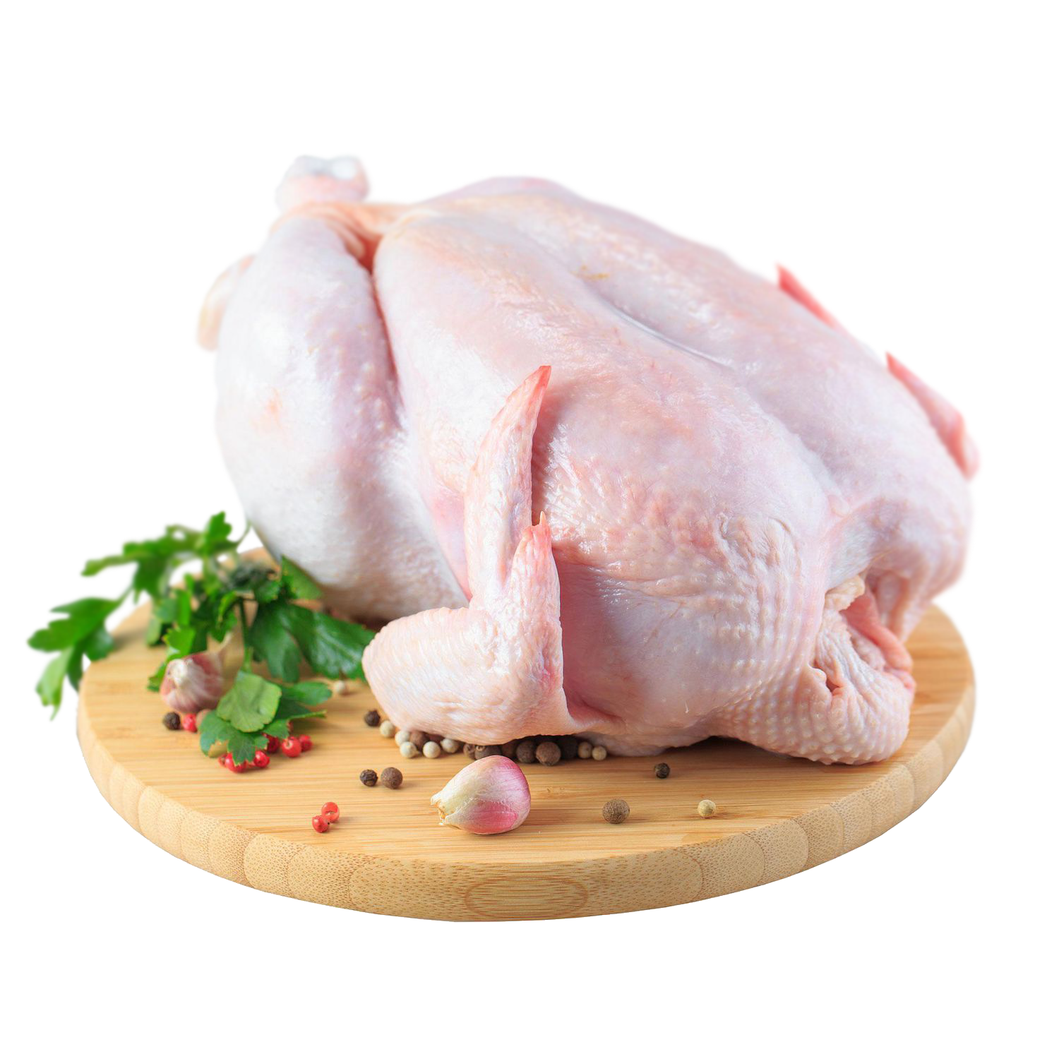 MIL POLLOS – ¡CONTÁCTANOS!